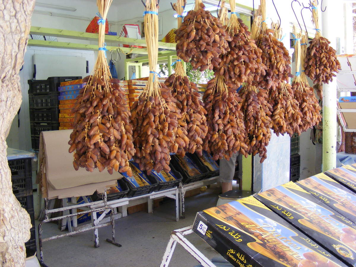 Biskra exporte moins de 1% de sa production de dattes, et le reste où ...