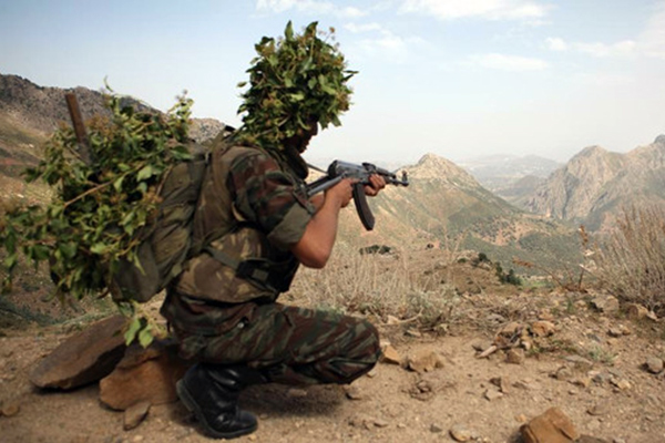 تدمير 9 مخابئ للارهابيين بولاية المدية | الإذاعة الجزائرية