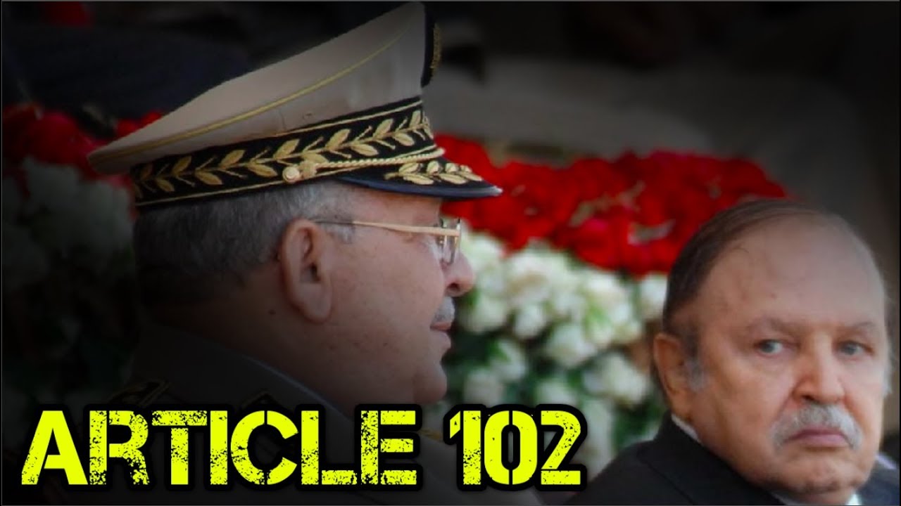 Application de l'article 102 de la Constitution : les partis politiques ...