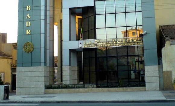 BADR : dotation d'une centaine d’agences de guichet de finance ...