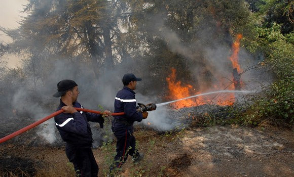 Khenchela: l'incendie enregistré dans la forêt de Chaâbat Khaled ...