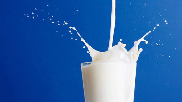 Lait : baisse de plus de 34% de la facture d'importation au 1er ...