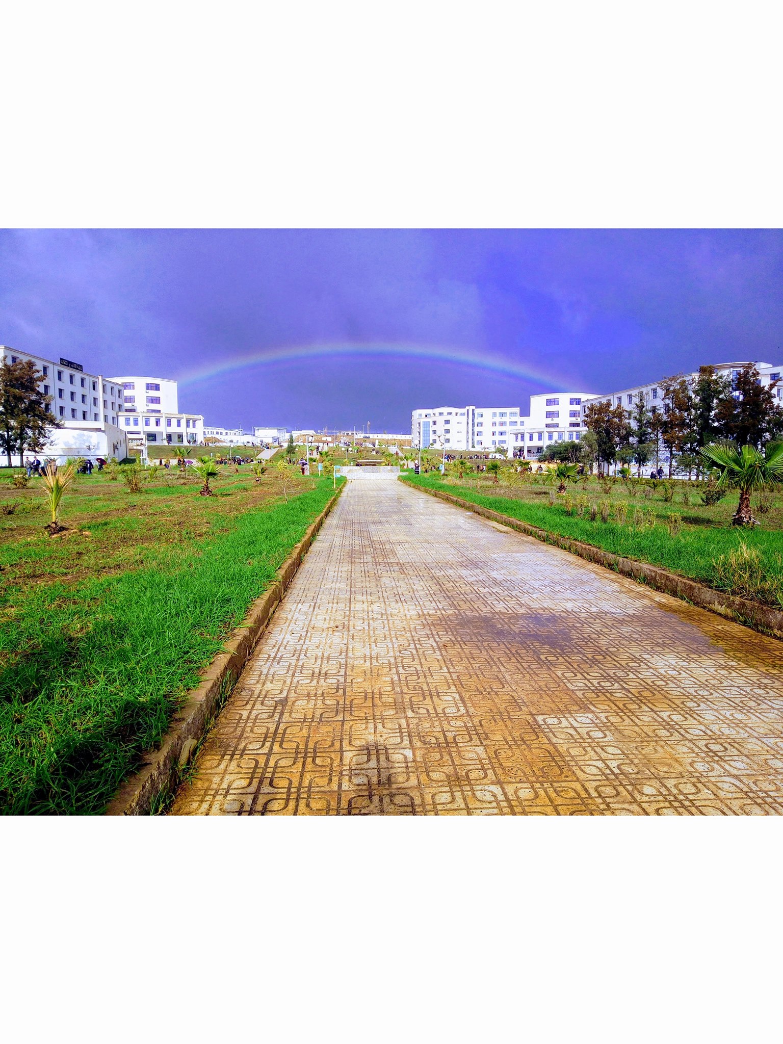 جامعة العفرون بالبليدة : تجاوب الأساتذة و الطلبة مع خطة التعليم عن بعد | الإذاعة الجزائرية