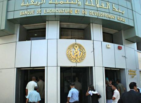 Banque : la BADR a financé plus de 2.080 projets depuis janvier 2017 ...
