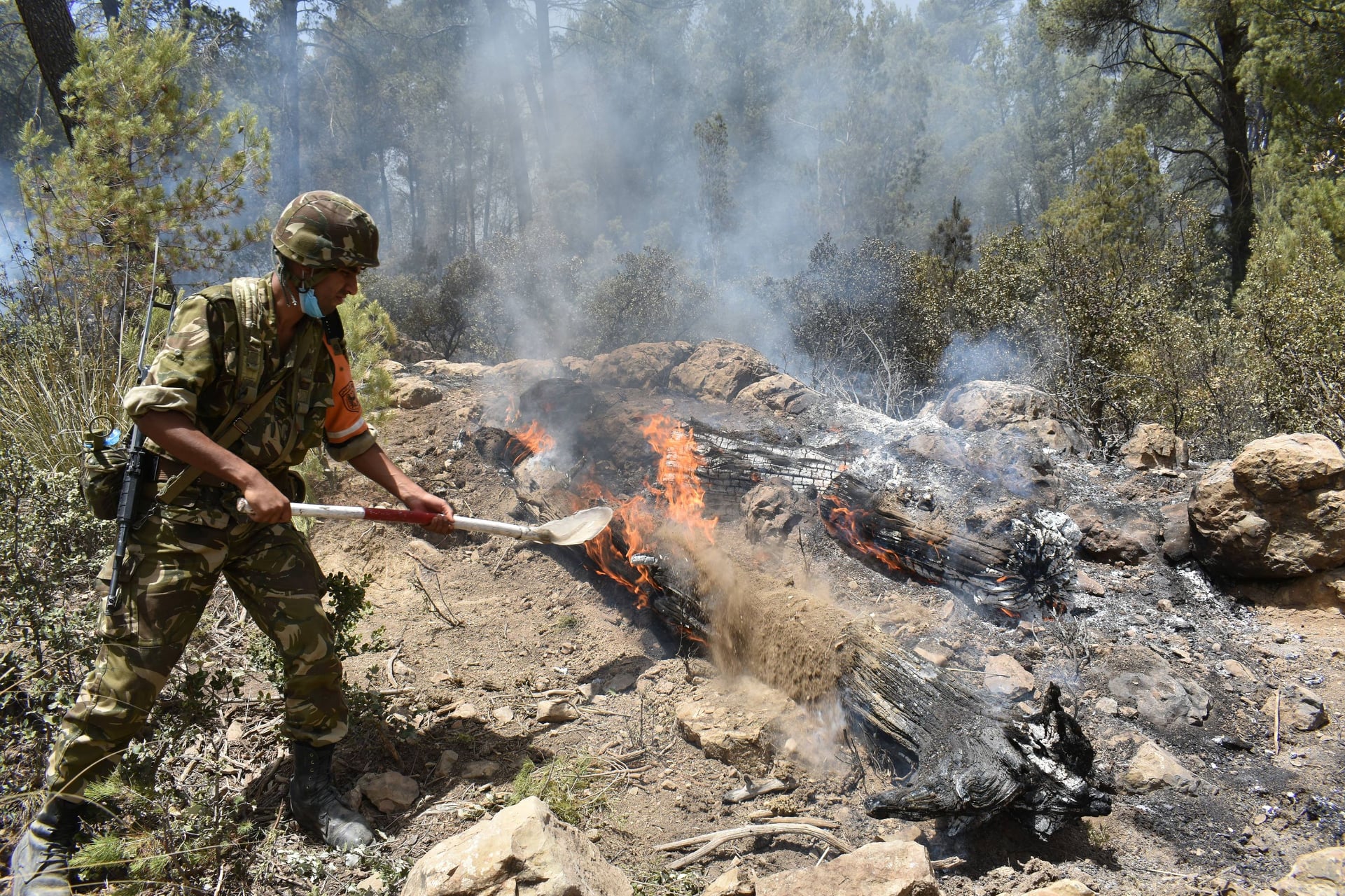 Feux de forêt à Khenchela : poursuite des interventions des unités de l ...