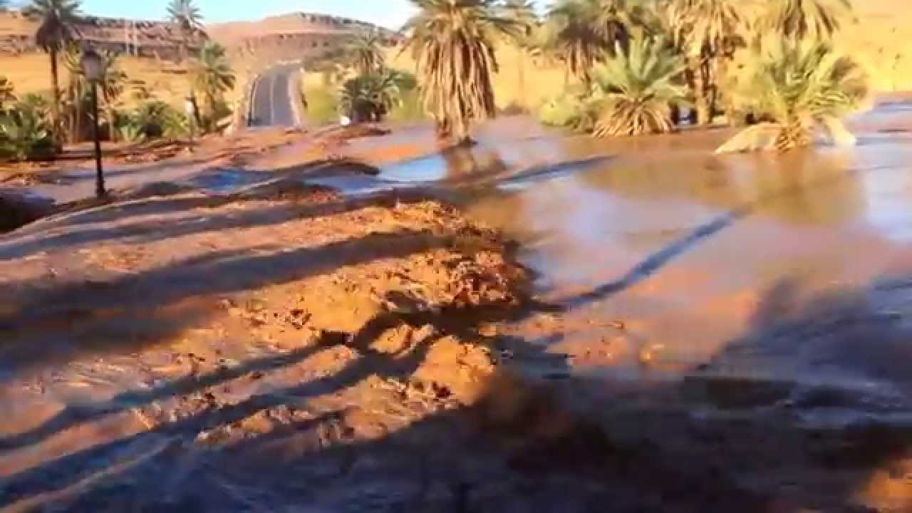 Fortes Pluies à Béchar : la ville inondée | Radio Algérienne