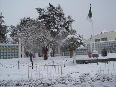Météo Algérie émet des BMS : La neige et le froid jusqu’à jeudi ...