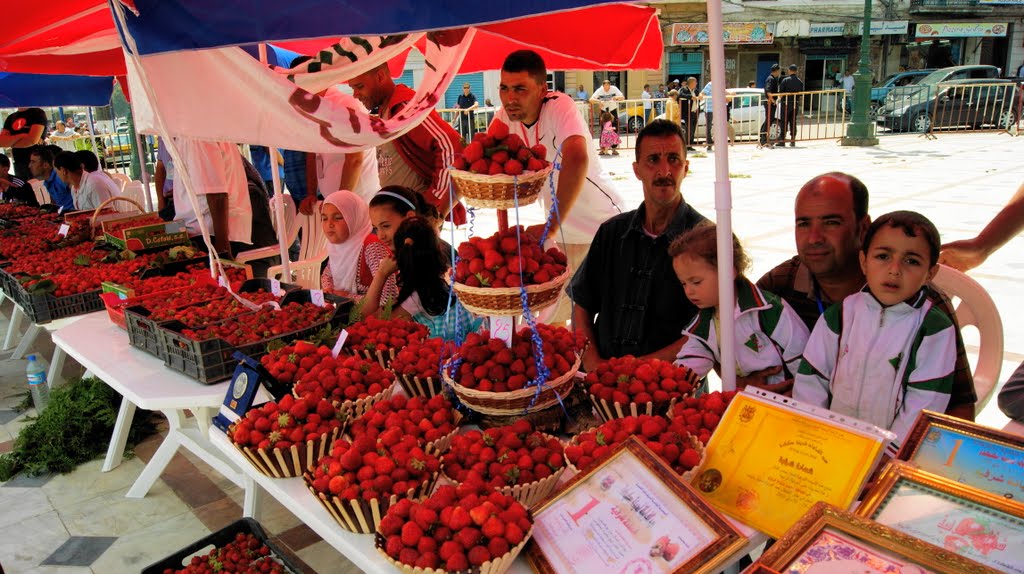 Skikda célèbre sa fête annuelle de la fraise dans une ambiance festive ...